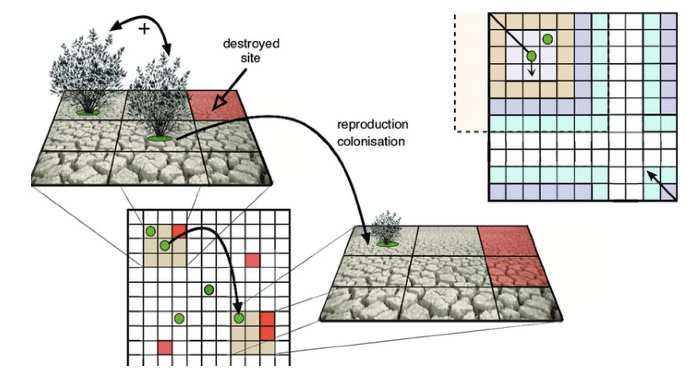 Habitat Assessment – Conservation Techniques