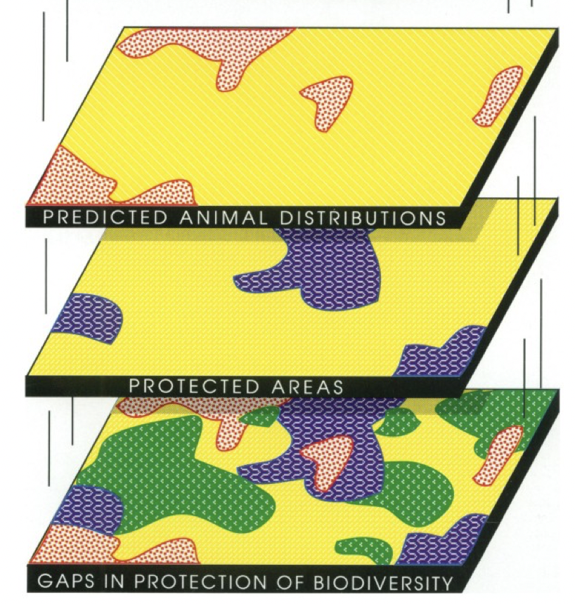 Habitat Assessment – Conservation Techniques