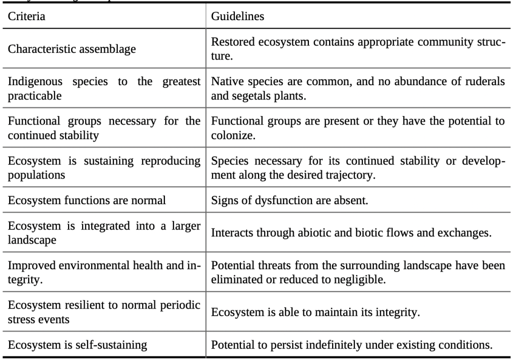 Restoration – Conservation Techniques