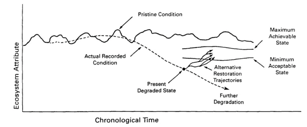 Restoration – Conservation Techniques