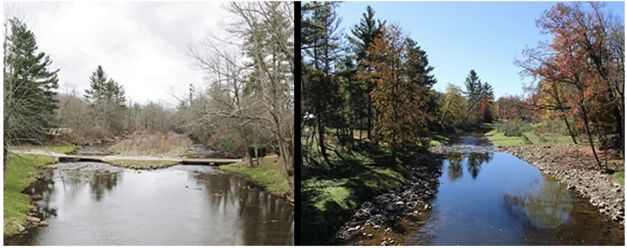 Restoration – Conservation Techniques