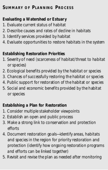 Restoration – Conservation Techniques