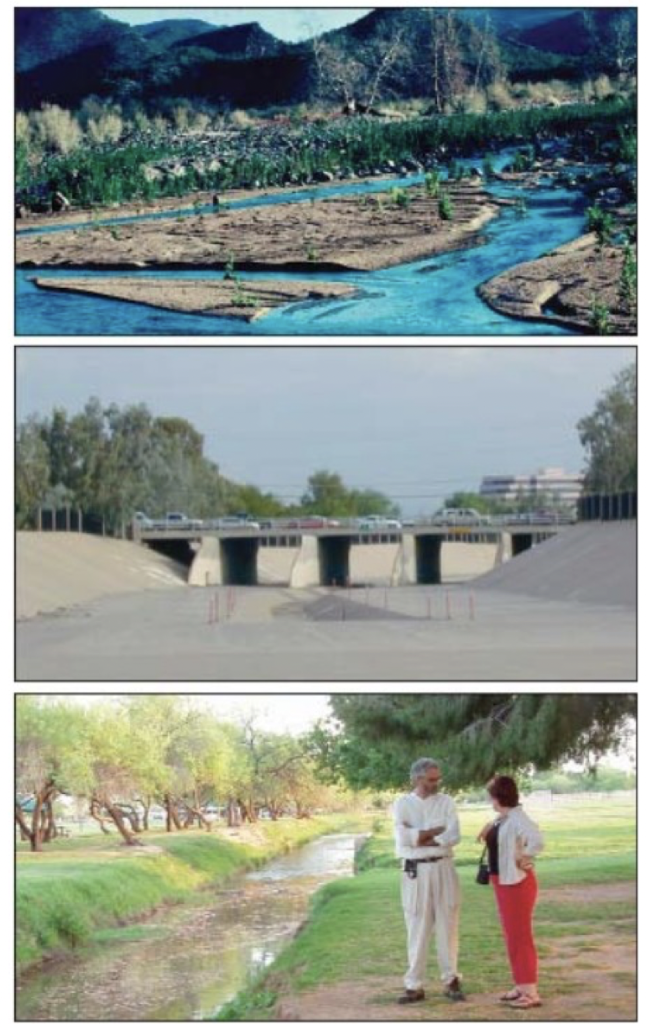 Ecological Engineering – Conservation Techniques