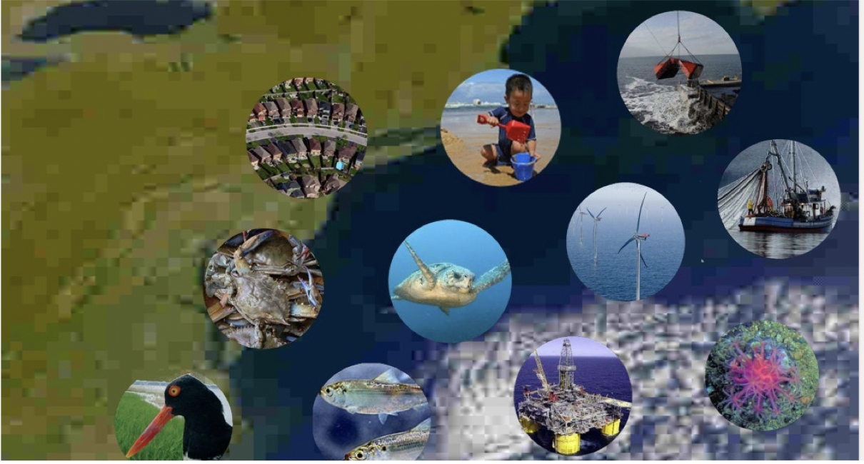 Ecosystem-Based Management – Conservation Techniques