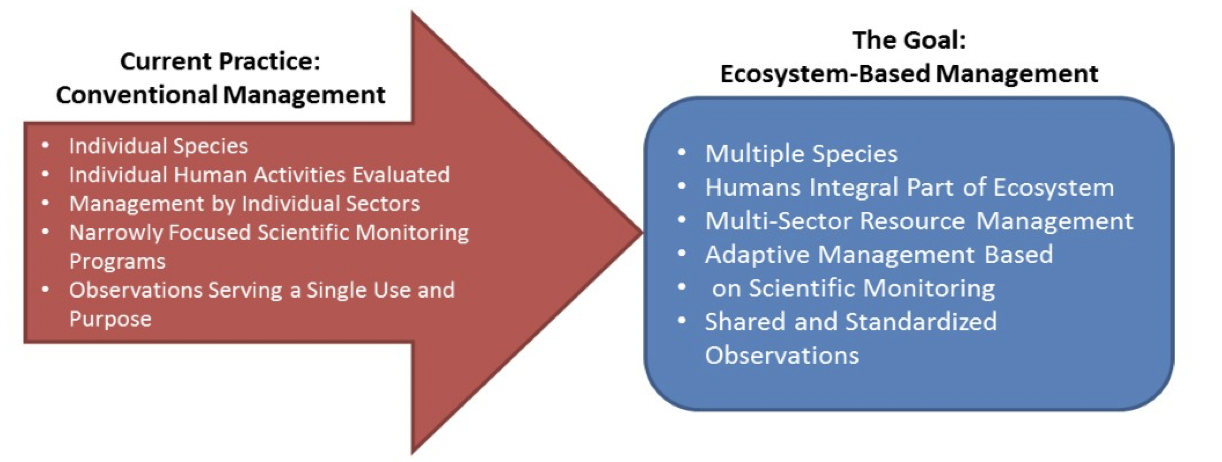 Ecosystem-Based Management – Conservation Techniques