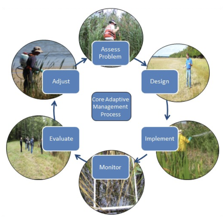 Adaptive Management – Conservation Techniques