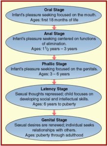 Developmental Theories – A Primer for Understanding Development Across ...