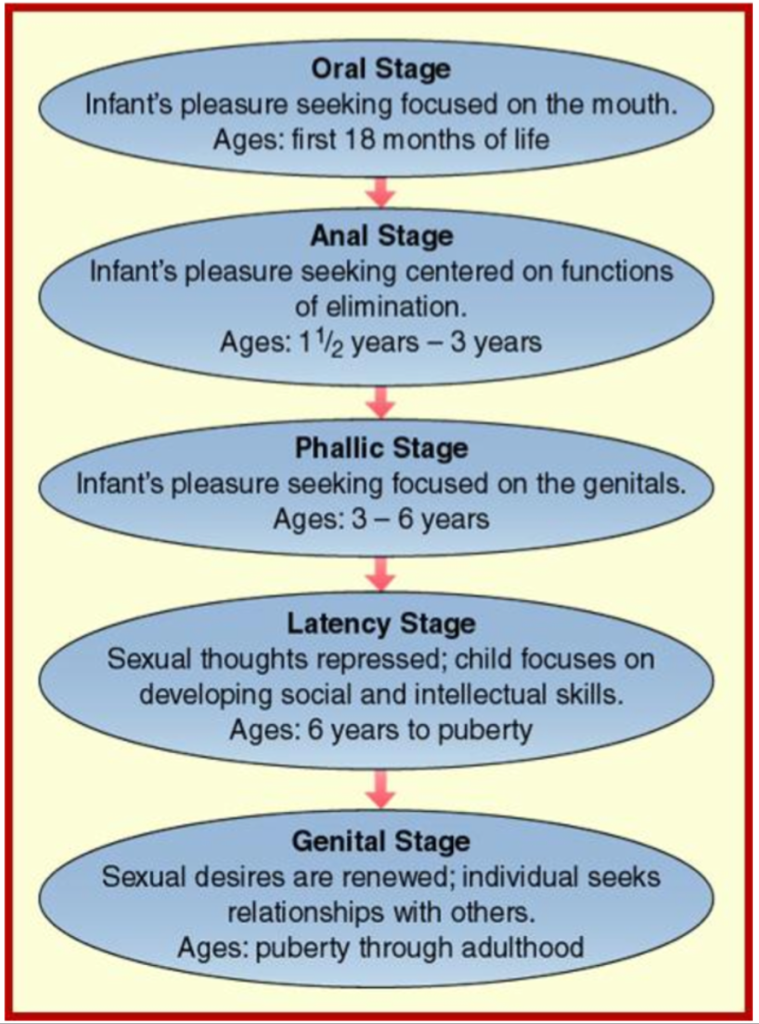 Developmental Theories – A Primer for Understanding Development Across ...