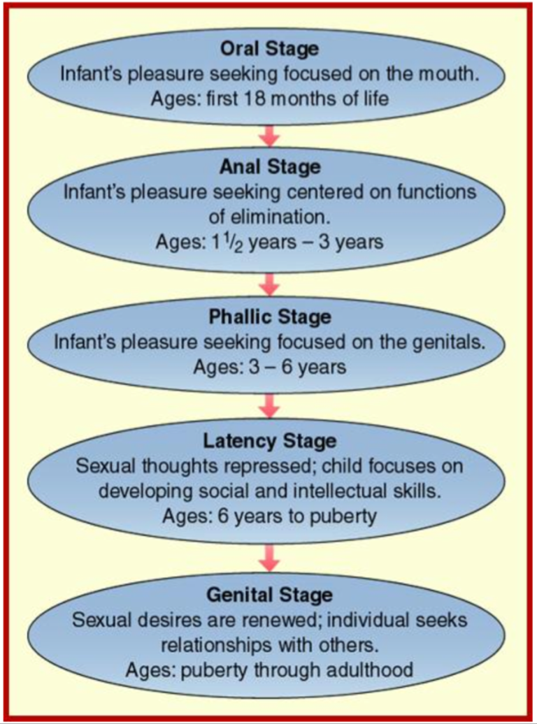 Developmental Theories – A Primer for Understanding Development Across ...
