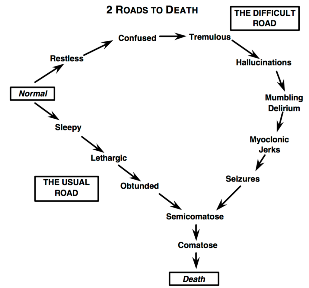Theories of Aging – A Primer for Understanding Development Across The ...