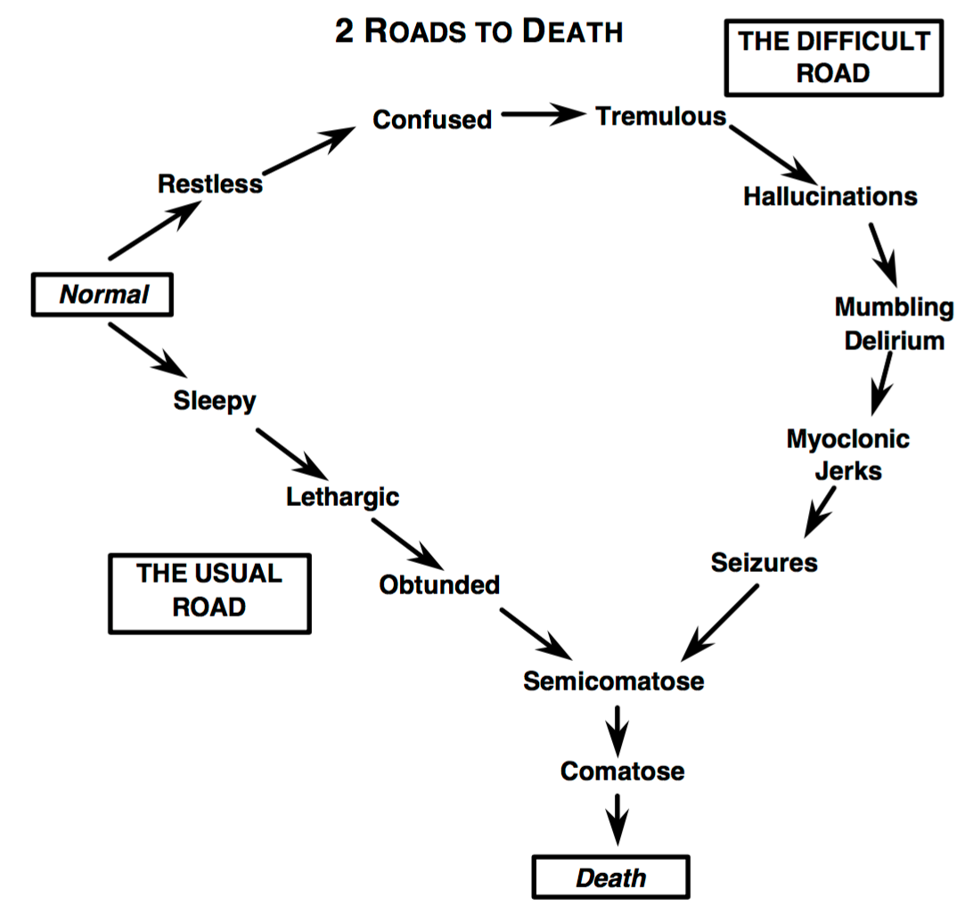 Theories of Aging – A Primer for Understanding Development Across The ...