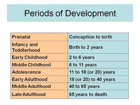 Theories of Aging – A Primer for Understanding Development Across The ...