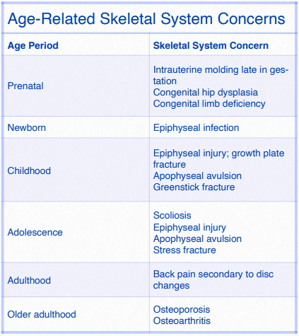 Development & Changes of the Skeletal System – A Primer for ...