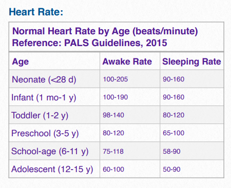 Development & Changes of the Cardiovascular & Pulmonary Systems – A ...
