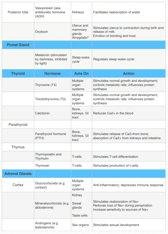 Development & Changes of the Endocrine System – A Primer for ...
