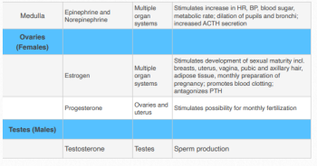 Development & Changes of the Endocrine System – A Primer for ...