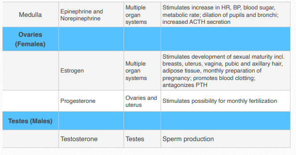 Development & Changes of the Endocrine System – A Primer for ...