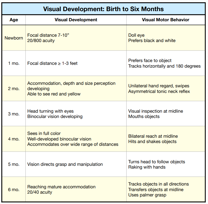 Development & Changes of the Nervous and Sensory Systems – A Primer for ...