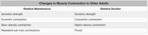 Development & Changes of the Muscular System – A Primer for ...