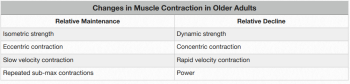 Development & Changes of the Muscular System – A Primer for ...