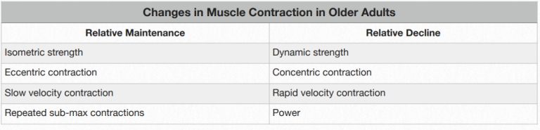 Development & Changes of the Muscular System – A Primer for ...
