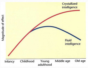 Cognitive Development & Changes Across the Lifespan – A Primer for ...