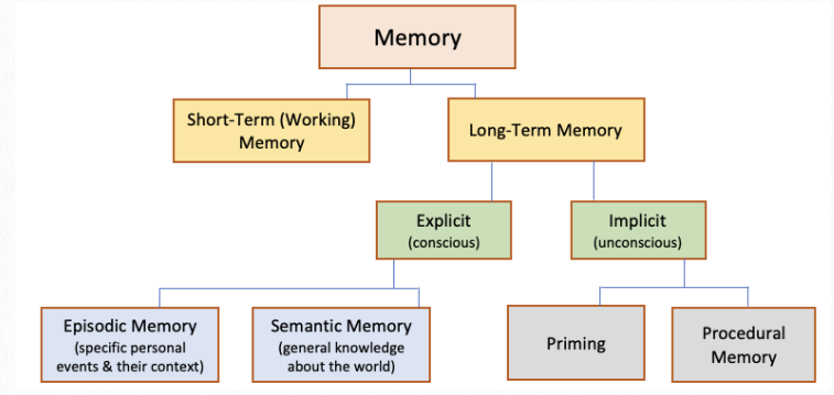 Cognitive Development & Changes Across the Lifespan – A Primer for ...
