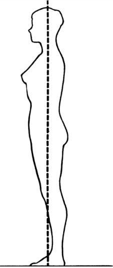 Posture and Balance – A Primer for Understanding Development Across The ...