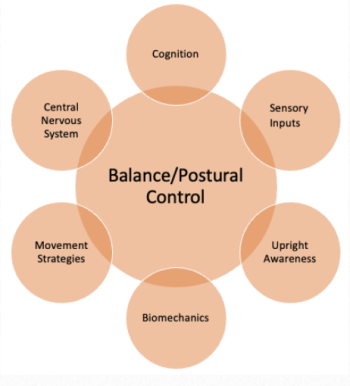 Posture and Balance – A Primer for Understanding Development Across The ...
