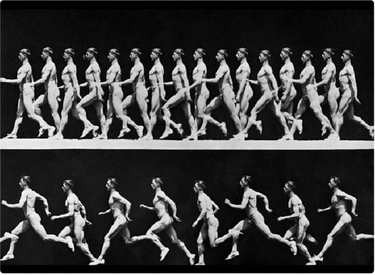 Locomotion – A Primer for Understanding Development Across The Life Span